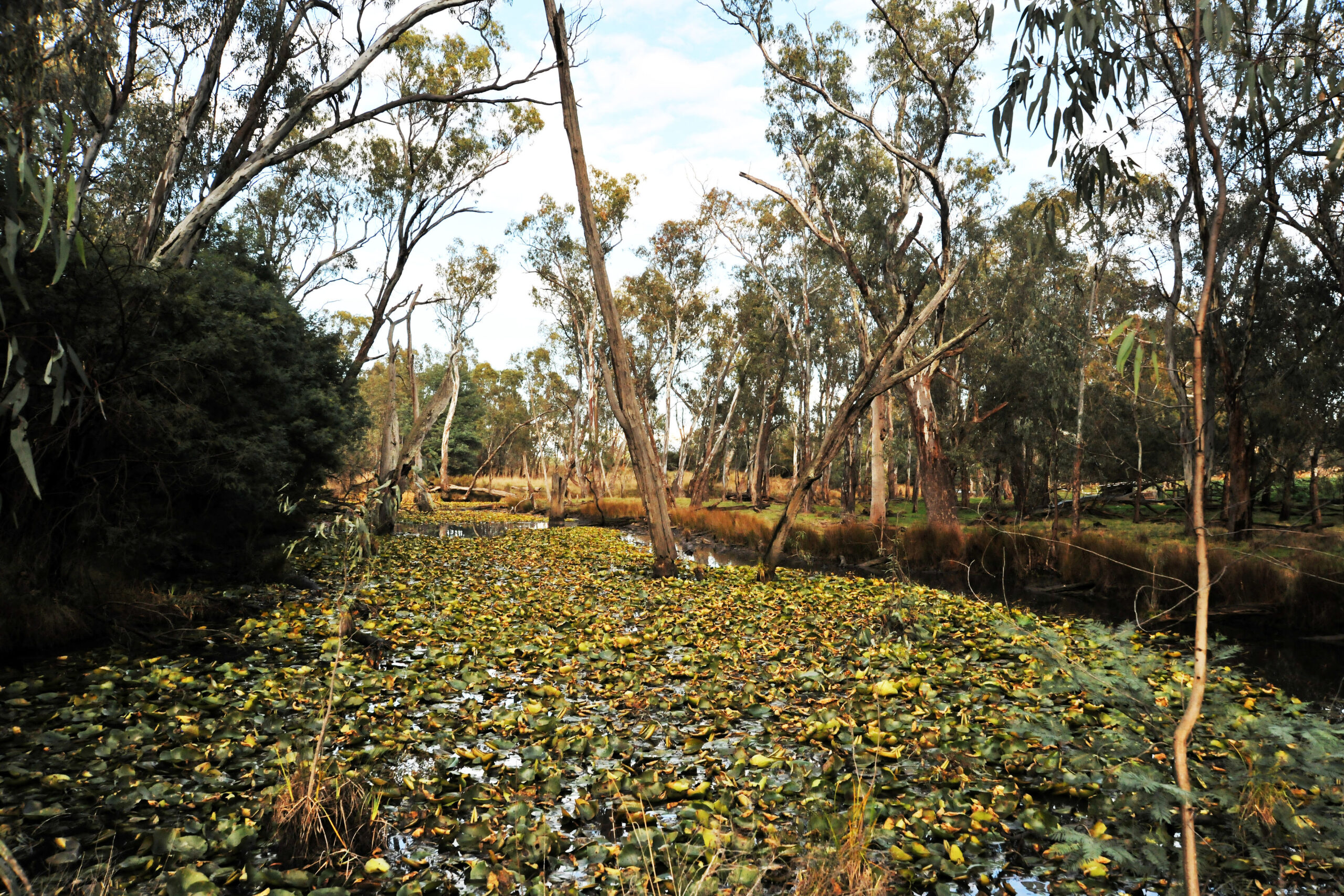 Major Projects | Strathbogie Shire