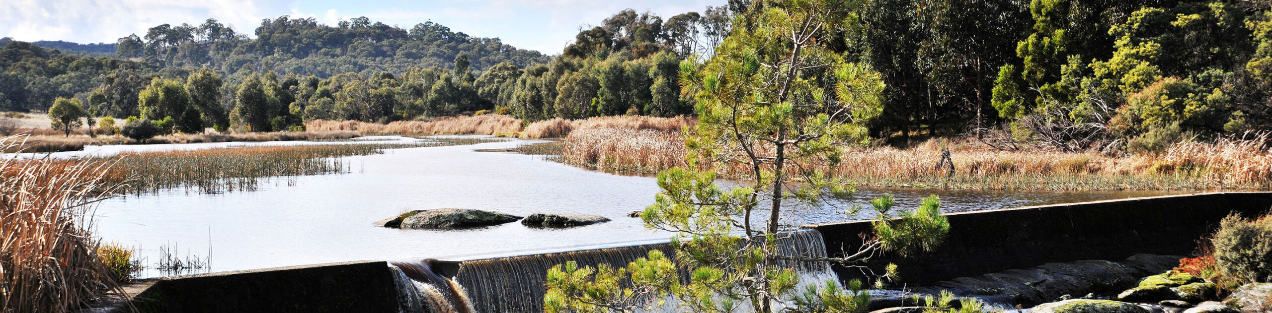 Environment | Strathbogie Shire