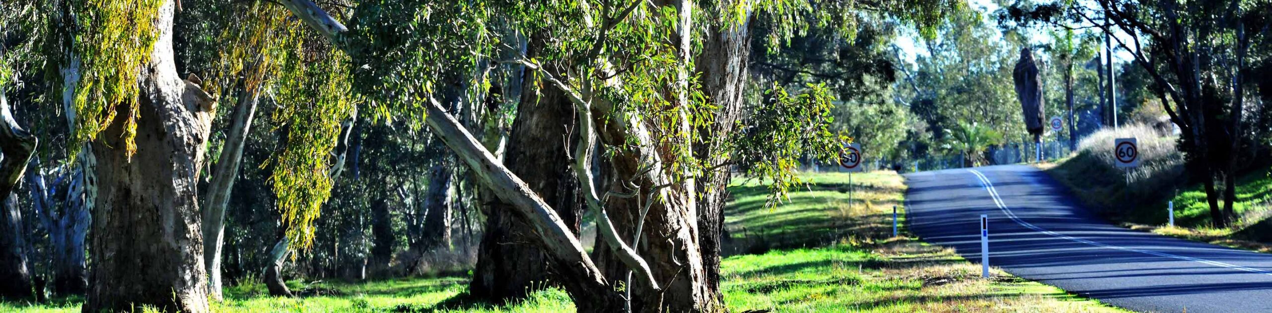 Services | Strathbogie Shire