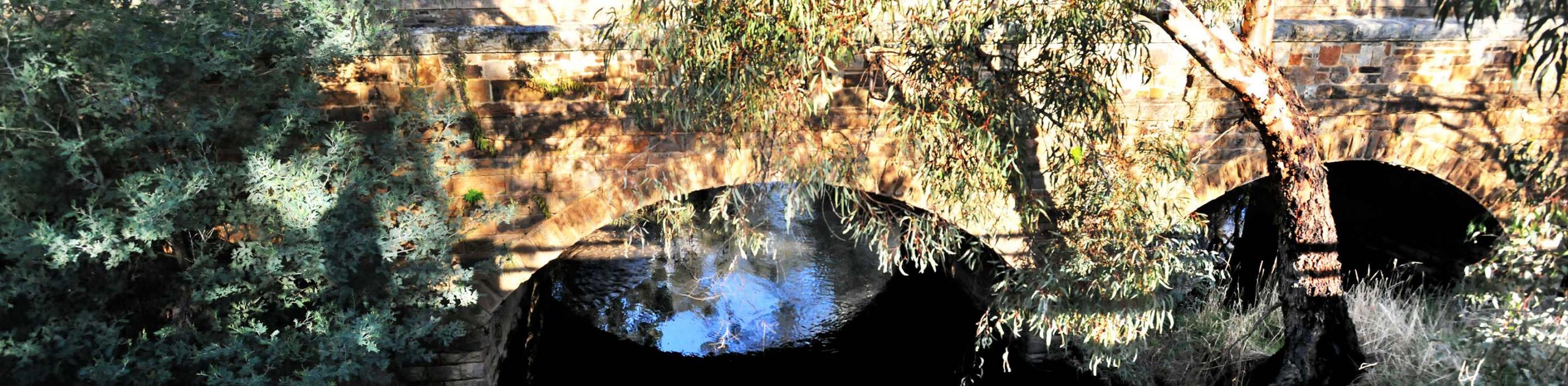 Council | Strathbogie Shire