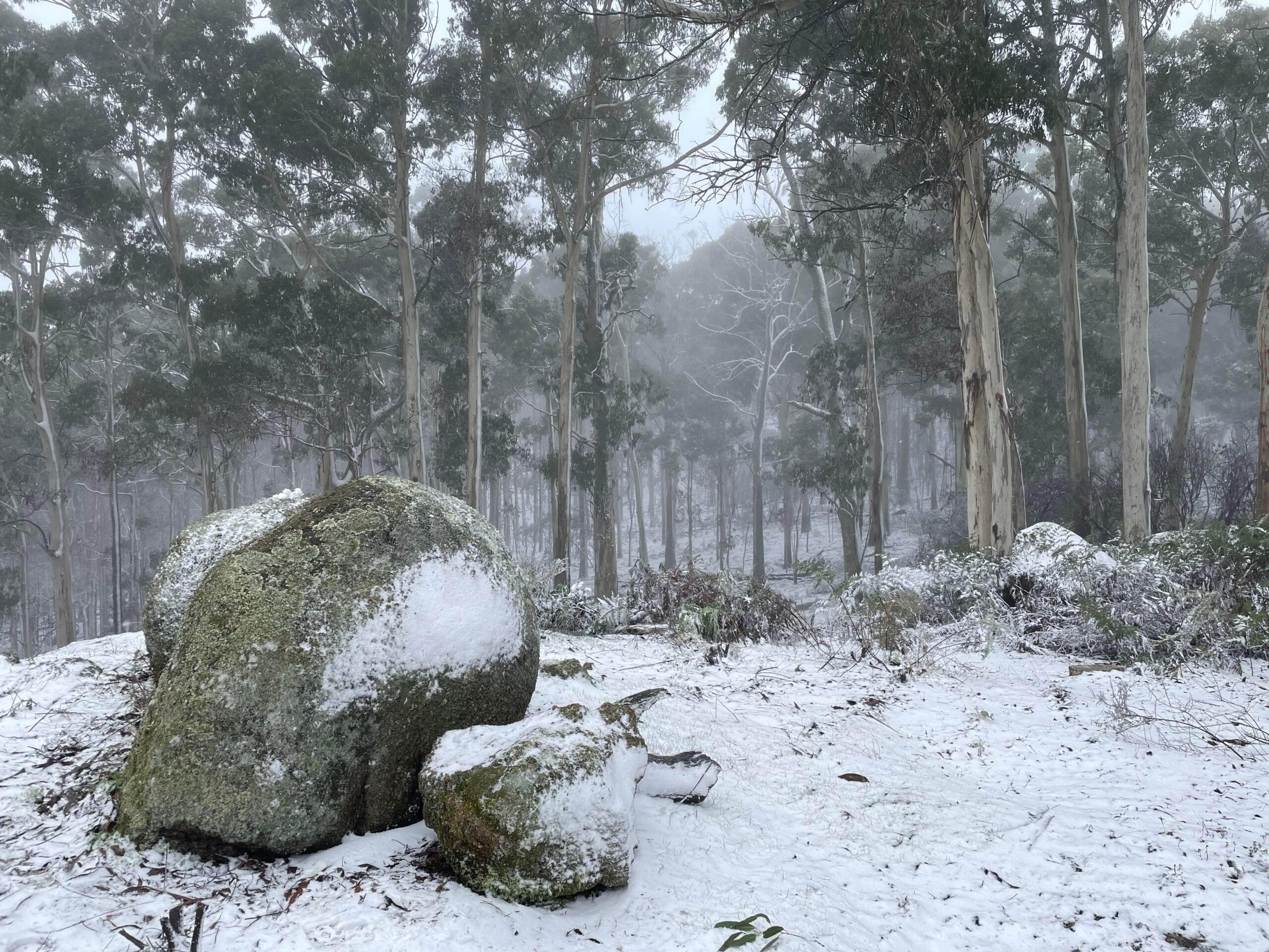Winter opens with snow in Strathbogie Ranges - Strathbogie Shire