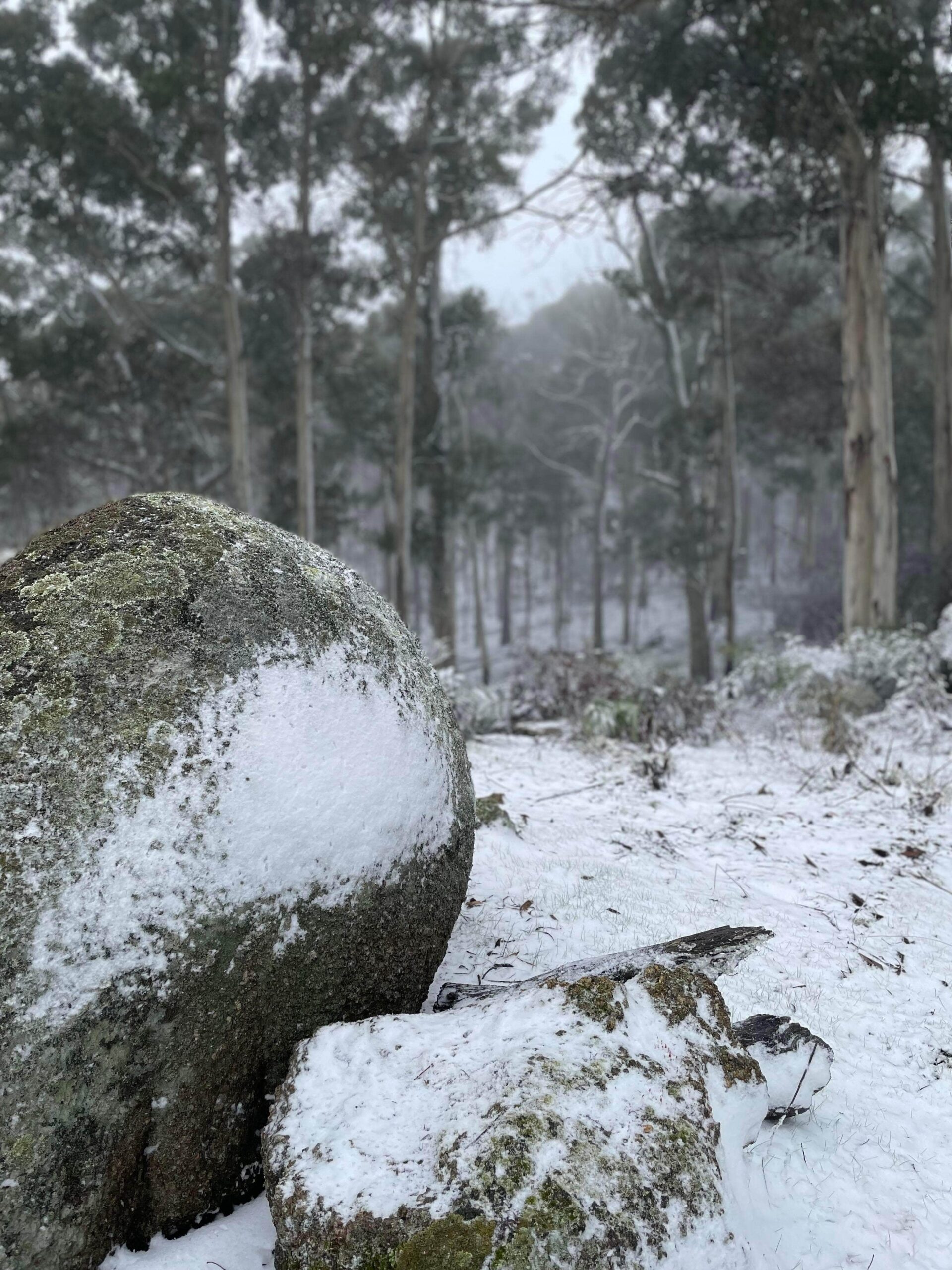 Winter opens with snow in Strathbogie Ranges - Strathbogie Shire