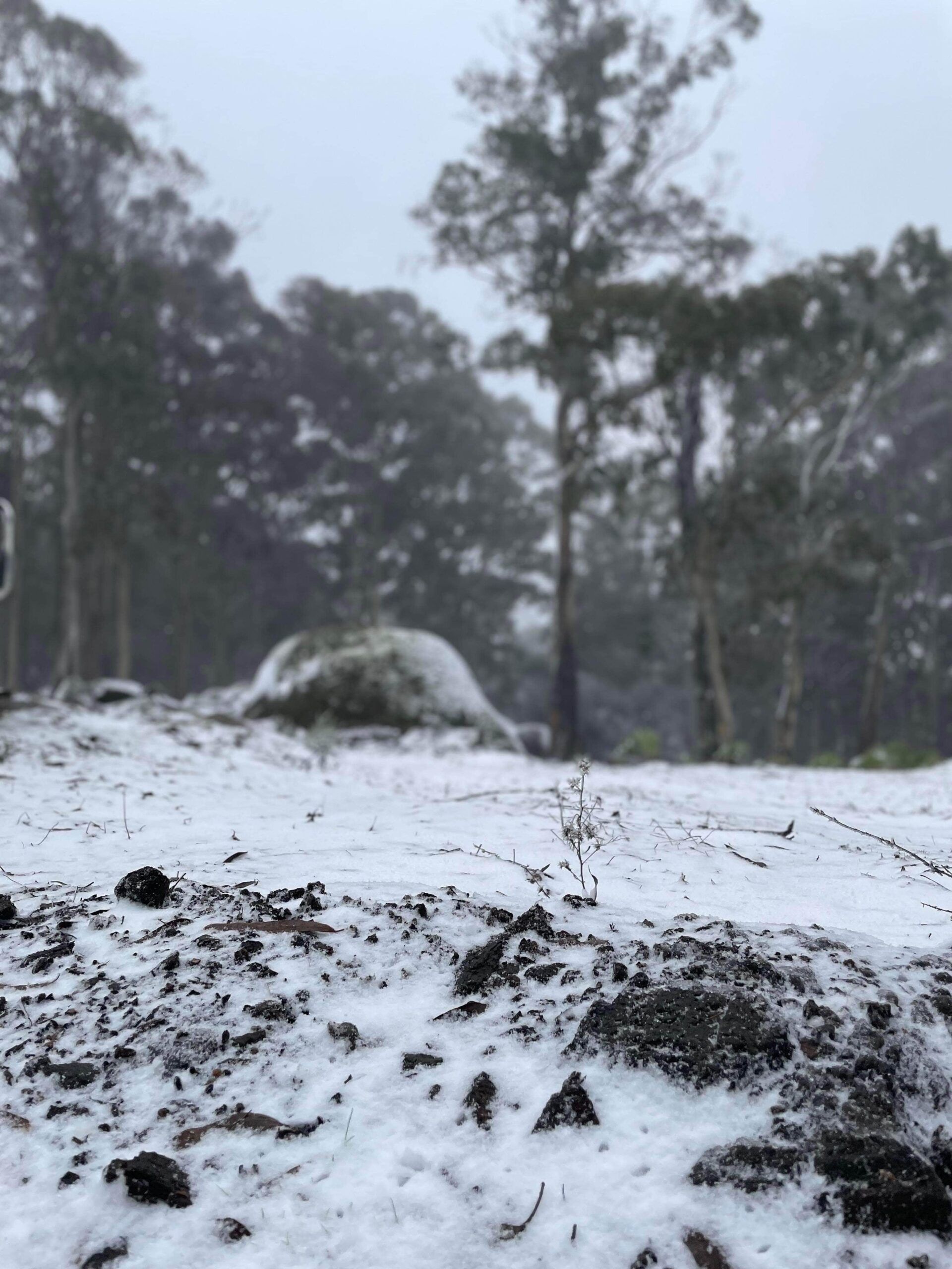 Winter opens with snow in Strathbogie Ranges - Strathbogie Shire
