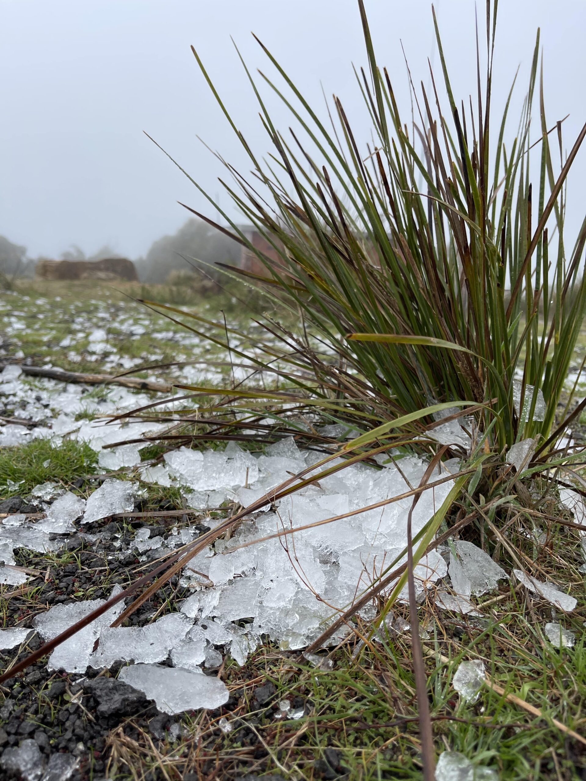 Winter opens with snow in Strathbogie Ranges - Strathbogie Shire