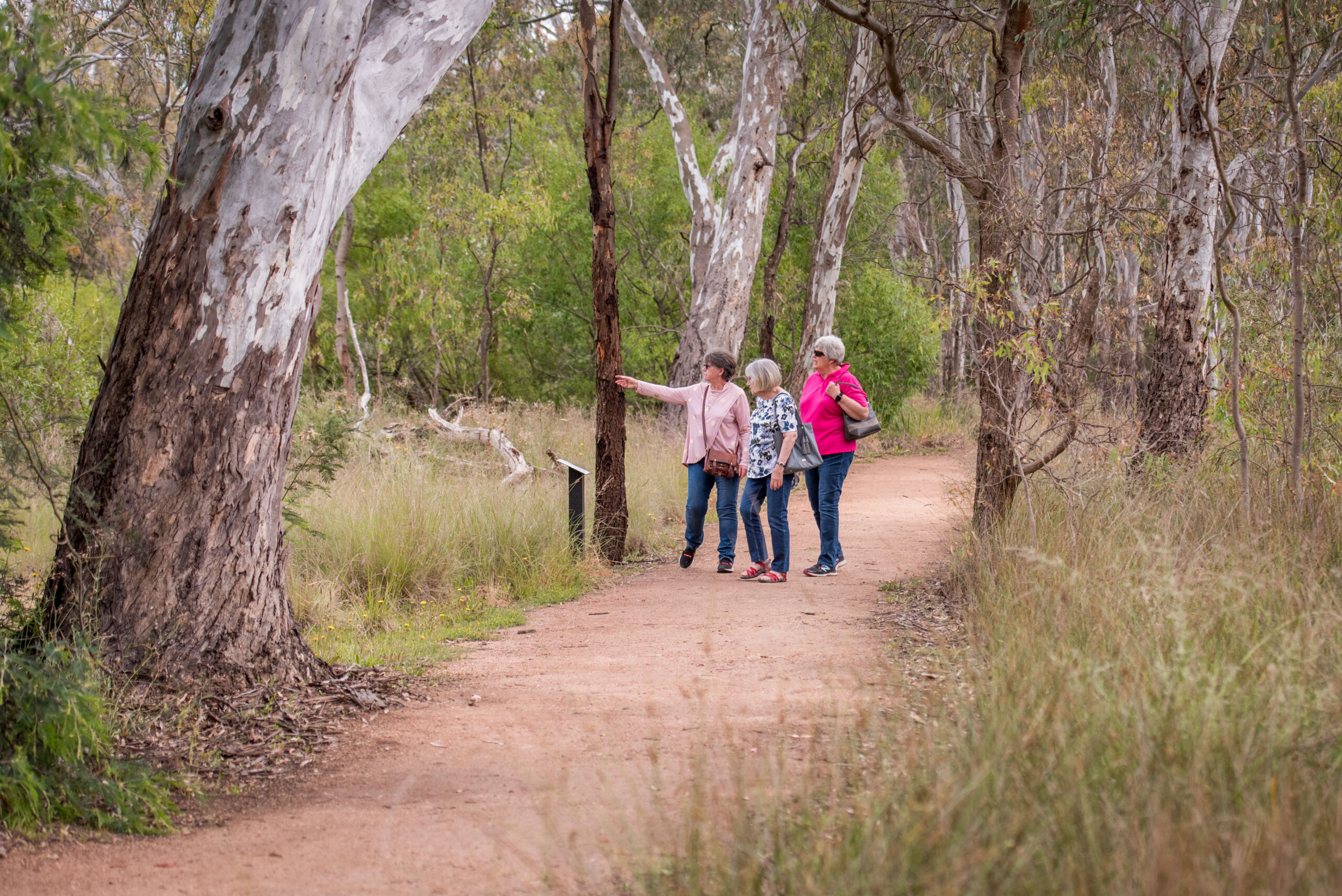 Health and Wellbeing - Strathbogie Shire