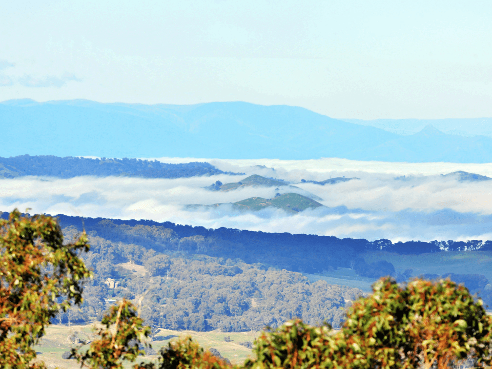 Have your say on the Council Plan update! - Strathbogie Shire