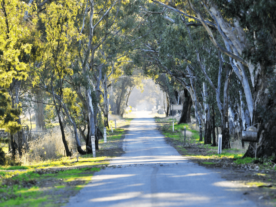 Strathbogie Shire residents – have your say on our budget ...